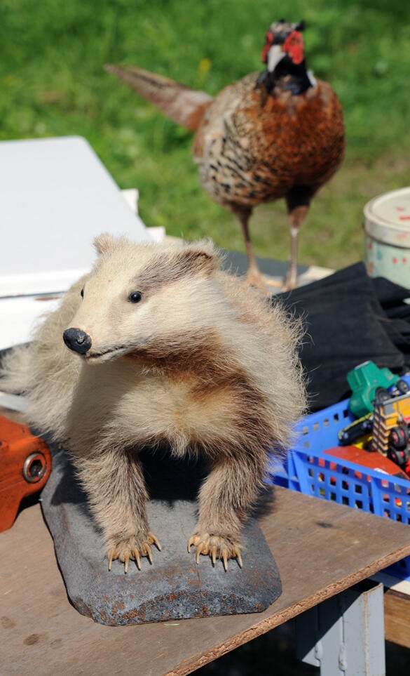 Ånnaboda 2013 - bildextra Ännu fler bilder! - Classic Motor